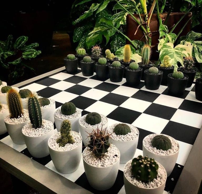 People are leveling up their chess game by turning house plants into ...