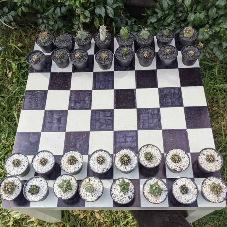 People are leveling up their chess game by turning house plants into ...