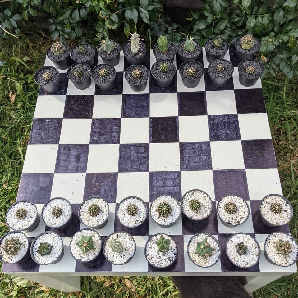 People are leveling up their chess game by turning house plants into ...