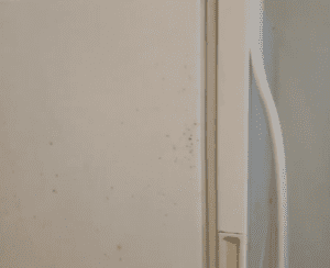 If you notice rust on the outside of your refrigerator here’s how to ...