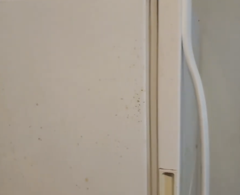 If you notice rust on the outside of your refrigerator here’s how to ...