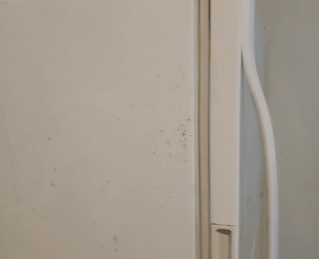 If you notice rust on the outside of your refrigerator here’s how to ...