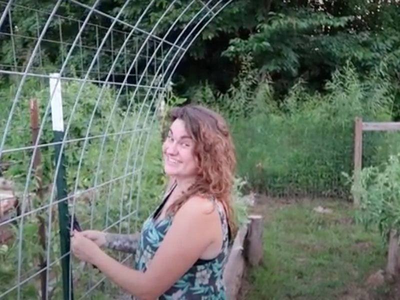 Thrifty gardener shows how to build gorgeous garden trellis on a $30 budget