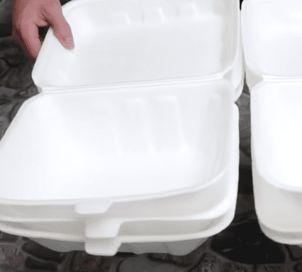 Gardener shows how to make perfect growing trays for garlic and onion ...