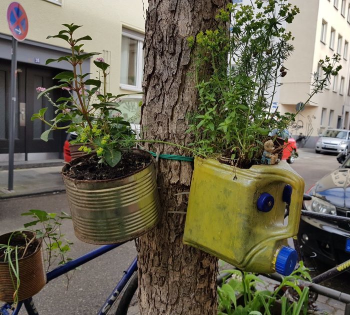 How to make wildflower “seed bombs” to beautify neglected landscapes