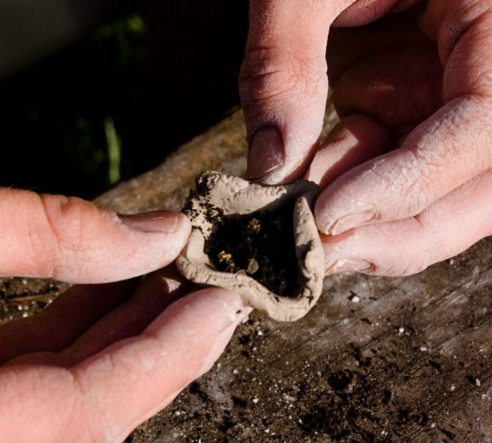 How to make wildflower “seed bombs” to beautify neglected landscapes