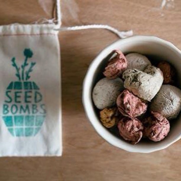 How to make wildflower “seed bombs” to beautify neglected landscapes