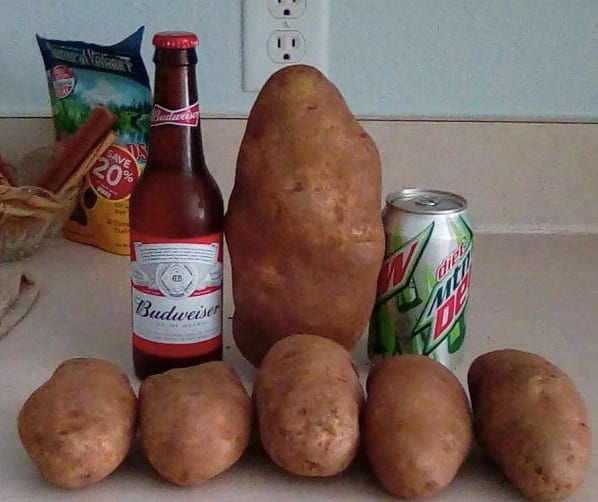 10+ times people hit the jackpot with their food