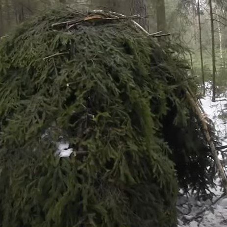 Woman shares 5 unique methods of building survival shelters every woman ...