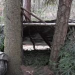 Woman shares 5 unique methods of building survival shelters every woman ...
