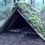 Woman shares 5 unique methods of building survival shelters every woman ...