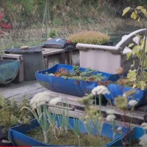 Man builds incredible self-sustaining island homestead from salvaged ...