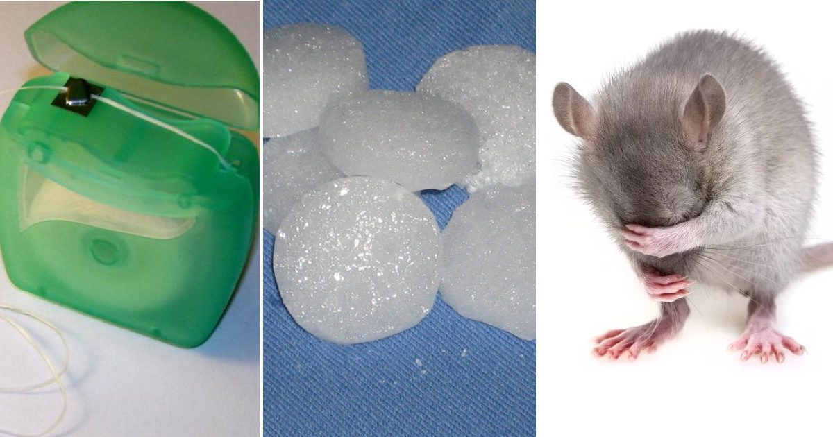 30+ effective ways to keep mouse out of your home