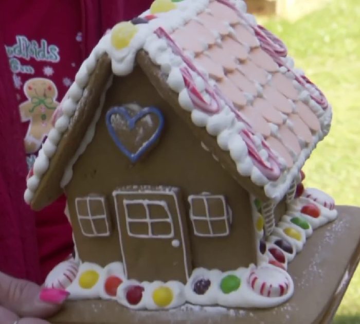 Meet the woman who’s slowly converting her home into a real life ...