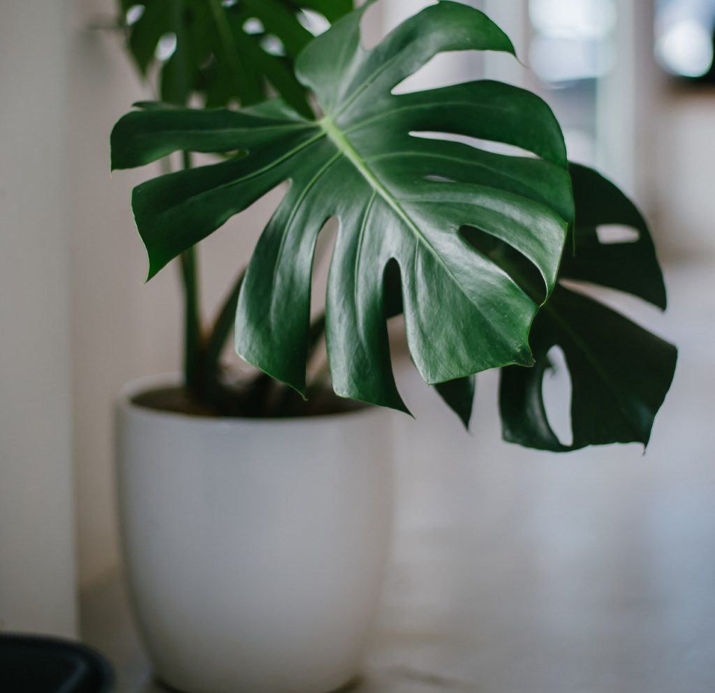 Man uses ceramic tiles and plastic chairs to create the most beautiful ...