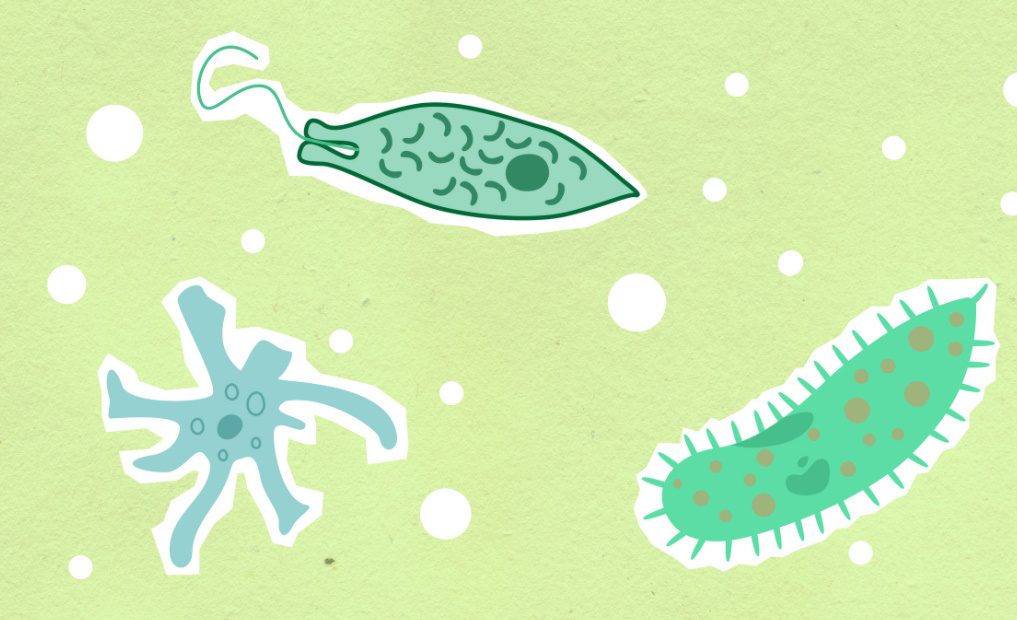 Professional organizer shows easiest way for DIY disinfectant wipes