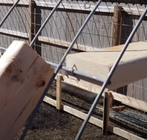 Couple shows how to build beautiful but simple greenhouse using cattle ...