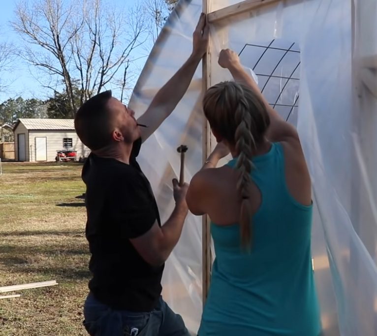 Couple shows how to build beautiful but simple greenhouse using cattle ...