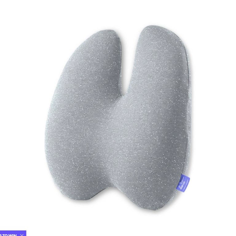 The Best Lumbar Support Pillows in 2022, Ranked: The definitive in ...