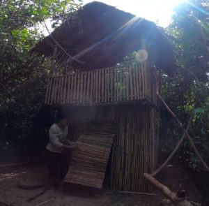 Woman chops down trees in forest then builds a gorgeous two story ...
