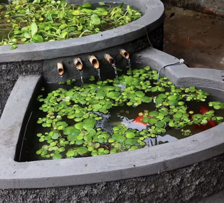 Man uses brick and cement to create beautiful terraced 3 in 1 heart ...