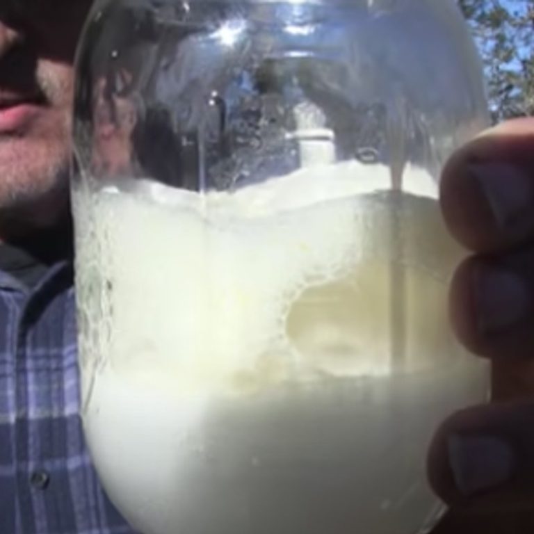 Farmer shares quick and easy 2-ingredient recipe that gets rid of mice ...