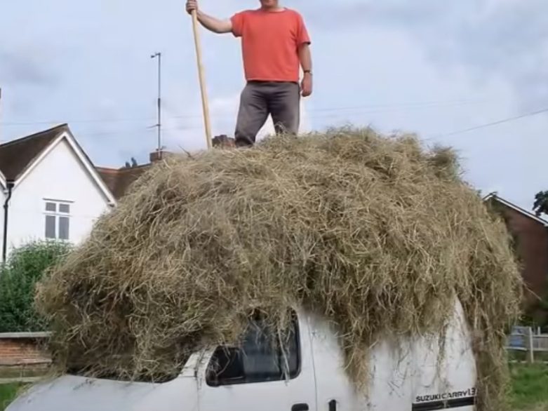 English man builds gorgeous whimsical hobbit-style home for only $185