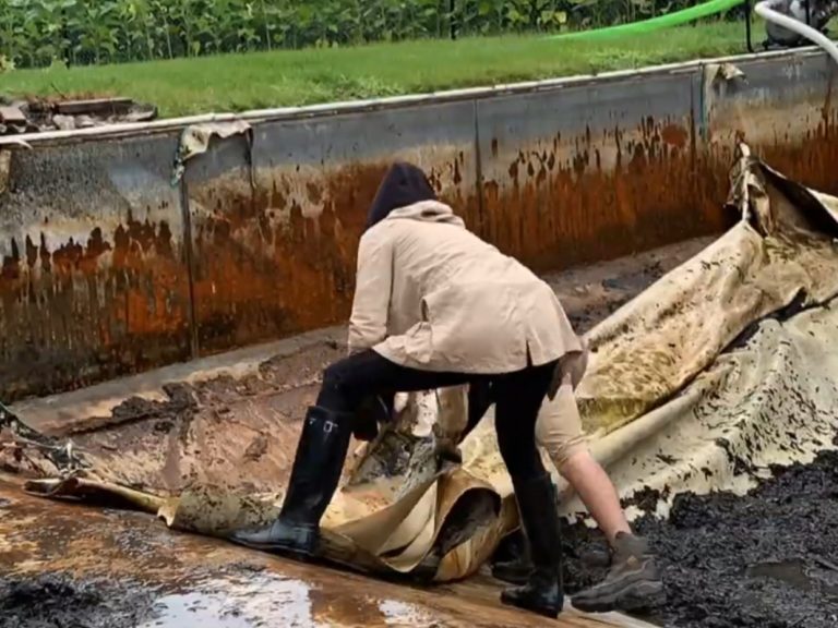 Couple discover pool buried under deck for over 20 years and restore it ...