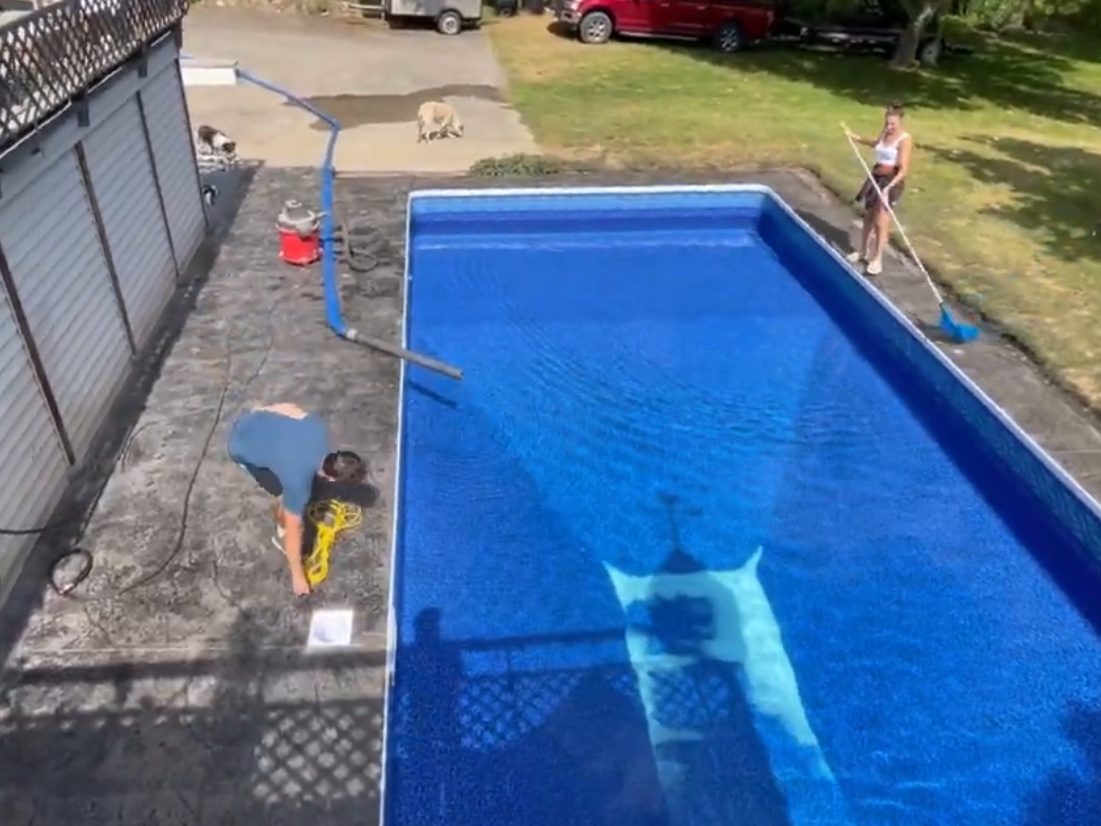 Couple discover pool buried under deck for over 20 years and restore it ...