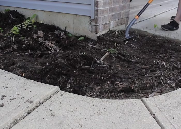 5 quick and easy landscaping tips that drastically improve curb appeal ...