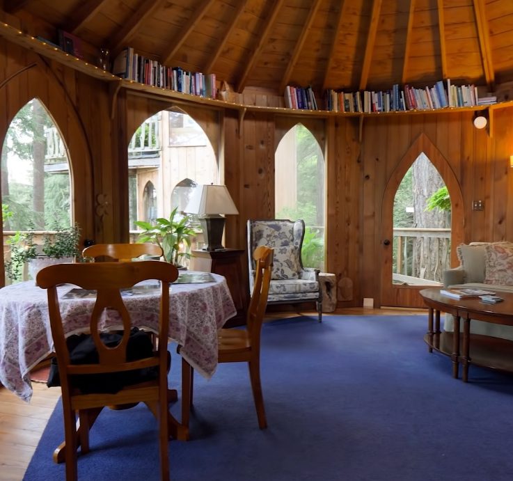 Woman gives tour of incredible “forest house” she lived in for 8 years ...