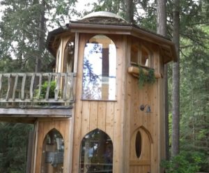 Woman gives tour of incredible “forest house” she lived in for 8 years ...