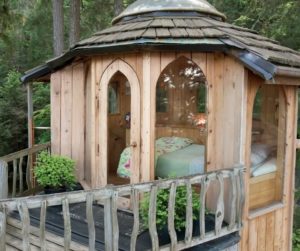 Woman gives tour of incredible “forest house” she lived in for 8 years ...