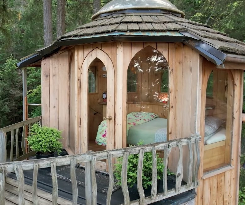 Woman gives tour of incredible “forest house” she lived in for 8 years ...