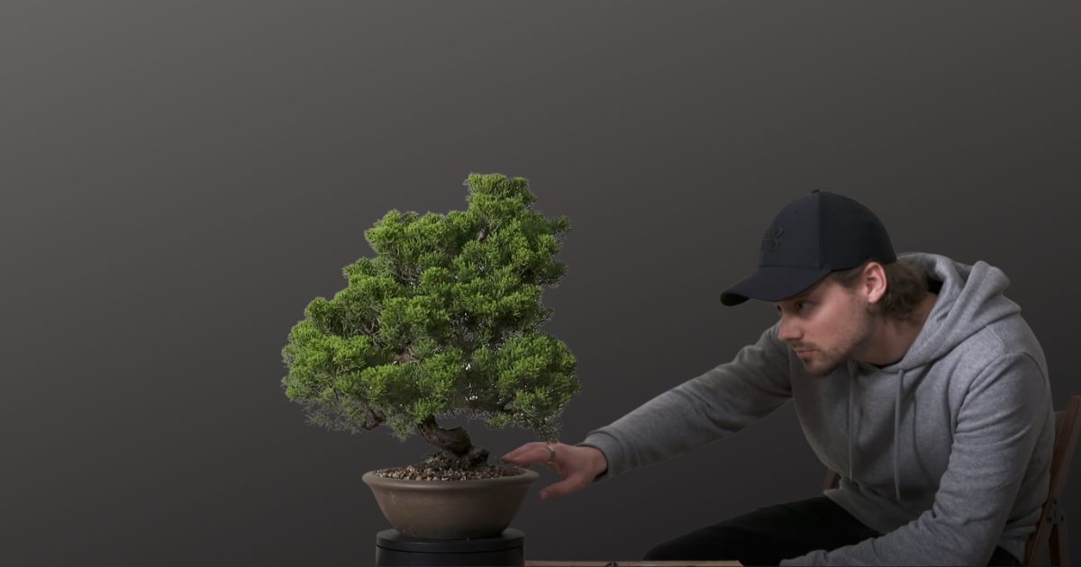 Man videos himself restoring neglected bonsai tree and gets 7 million views