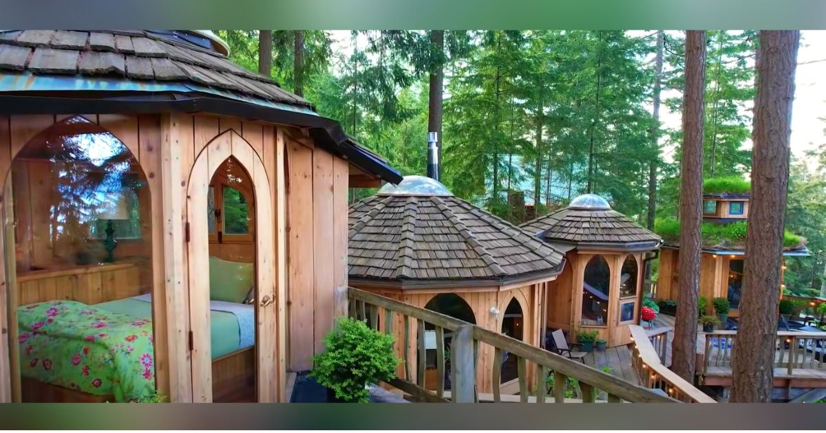 Woman gives tour of incredible “forest house” she lived in for 8 years ...
