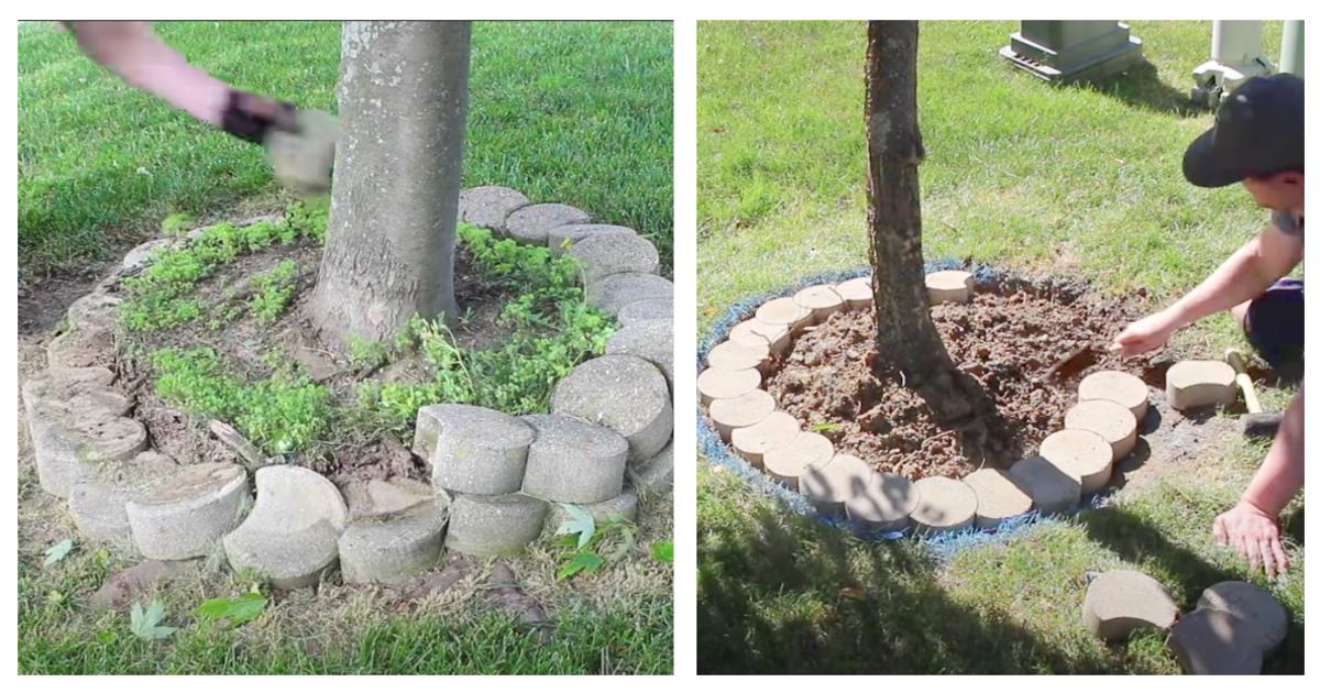 5 quick and easy landscaping tips that drastically improve curb appeal ...