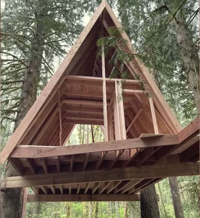 Man builds A-frame cottage wedged up in the trees for beautiful experience