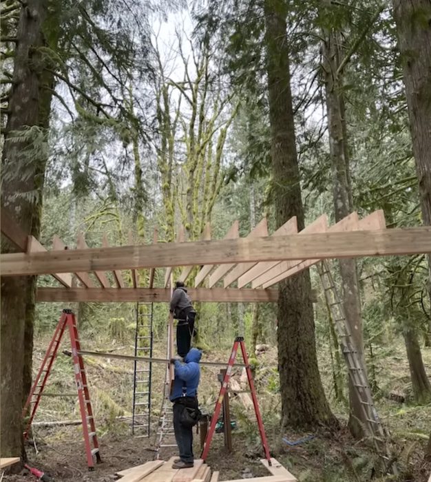 Man builds A-frame cottage wedged up in the trees for beautiful experience