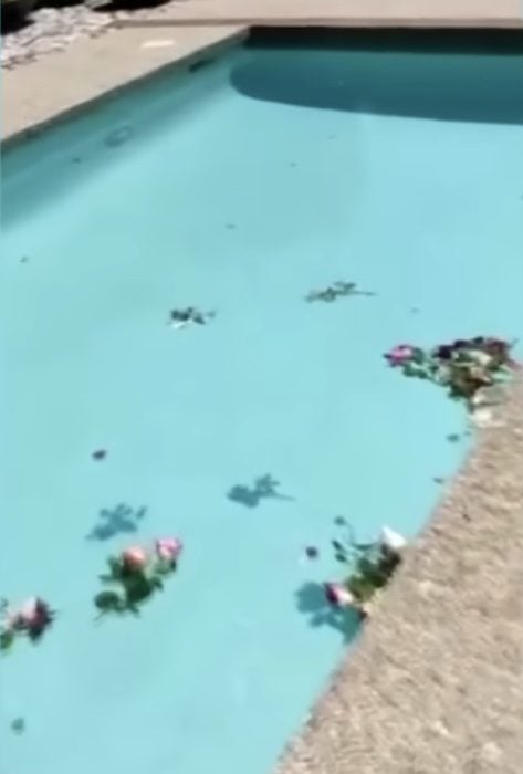 Woman returns from vacation to find a stranger in her backyard. Asks ...