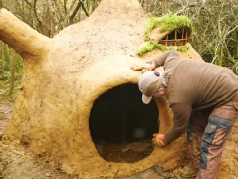 Man uses mud and brush to build “Yoda hut” in the forest and gets ...