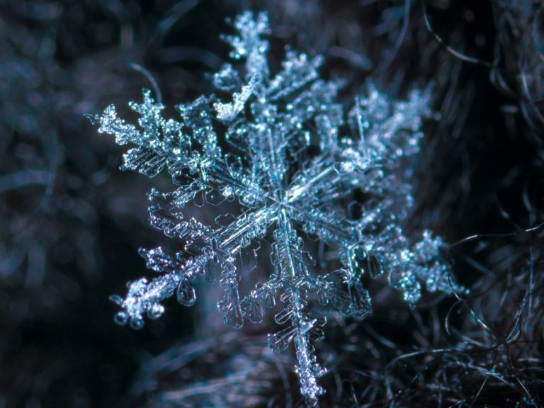 This DIY toilet paper roll snowflake tutorial has millions of crafters ...