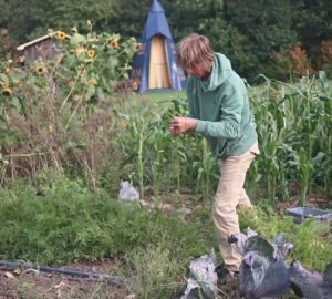Couple lives off the grid in self-built home and opens up about their ...