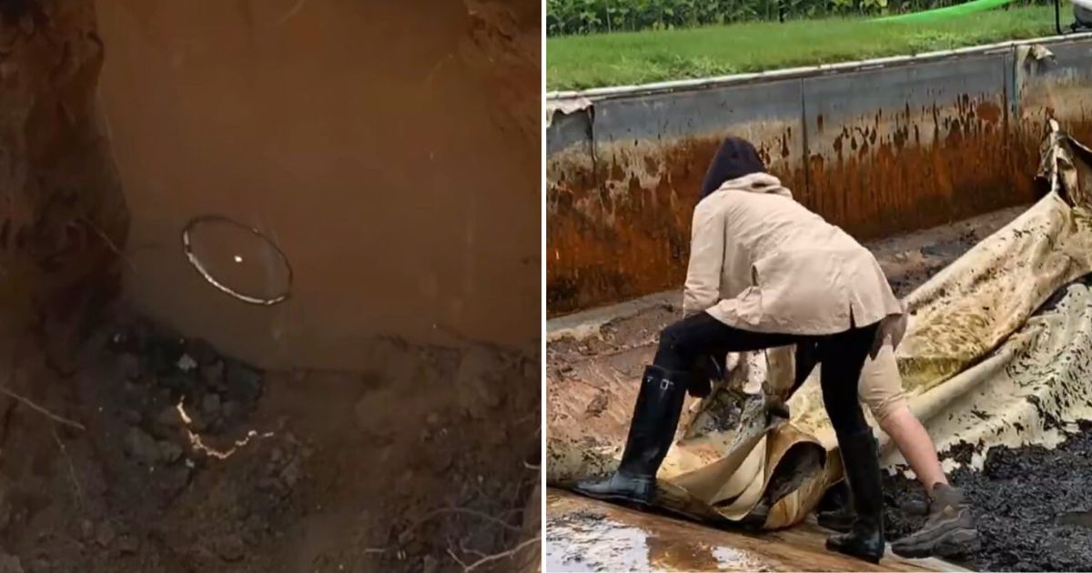 Couple finds pool under deck buried for 20 years and restore it back to ...