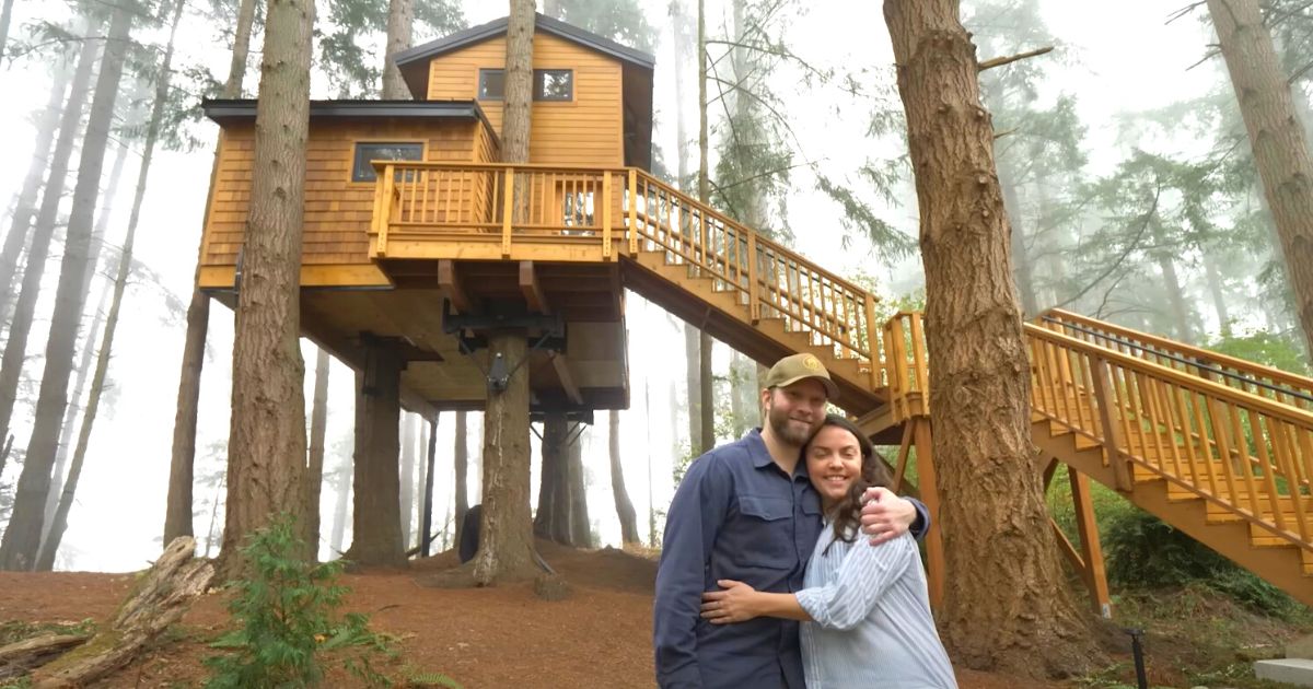 Couple builds island tree house in forest overlooking the ocean and ...