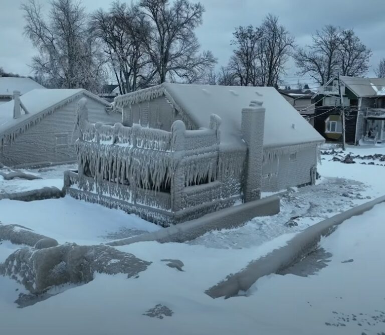 New York homes look like eerie ice sculptures following blizzard