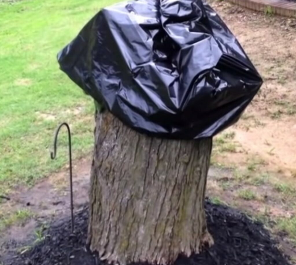 Husband carves old tree stump into adorable focal point of the neighborhood
