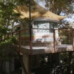 Couple share how their treehouse makes them over 700k a year