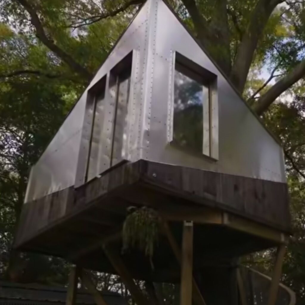 Couple share how their treehouse makes them over 700k a year