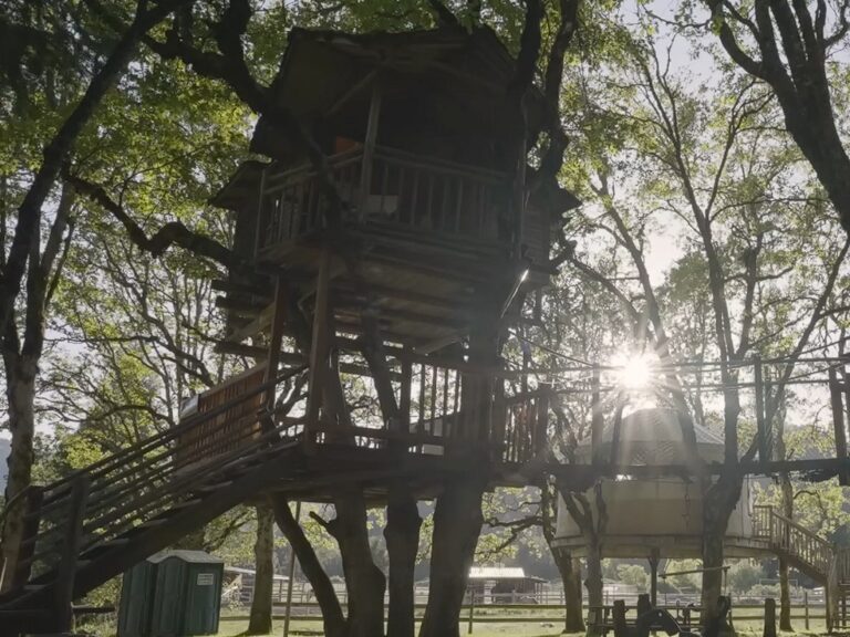 Man spends 30 years filling forest with incredible ‘fairytale ...